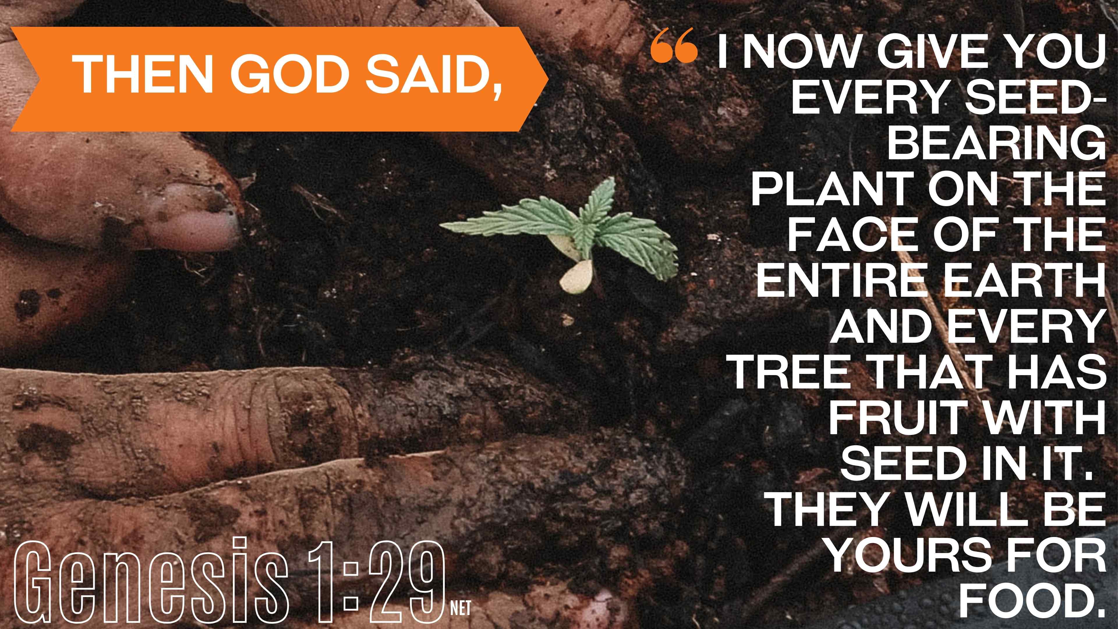 Verse of the Day - Daily Bible Verses