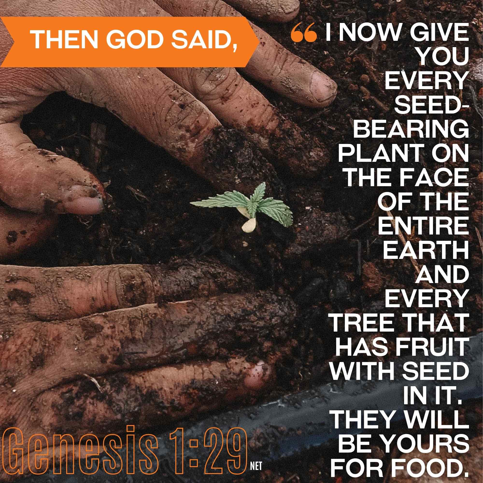 Verse of the Day - Daily Bible Verses