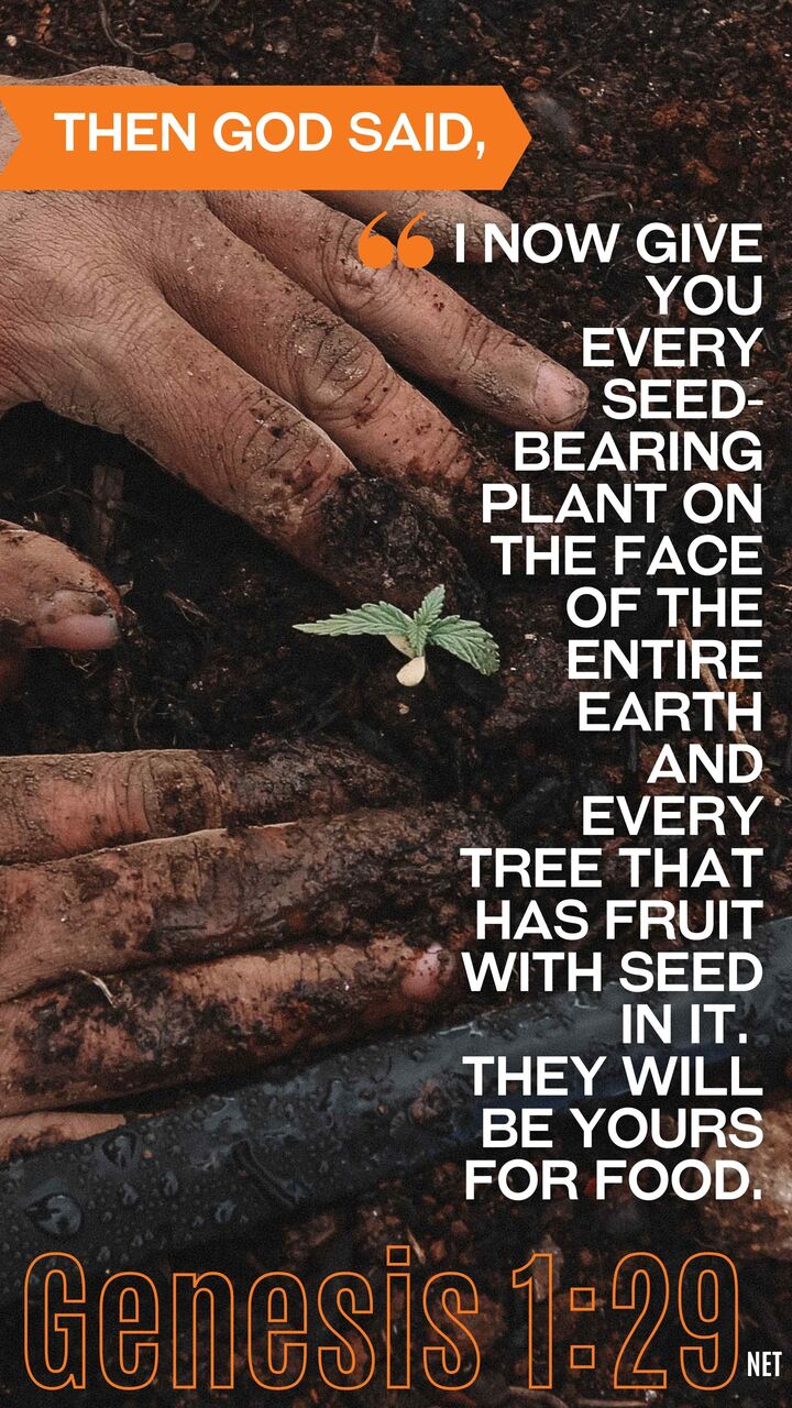 Verse of the Day - Daily Bible Verses